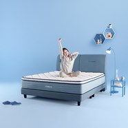 Mattress Premium Quality Beds With Multi Layer Supportive System